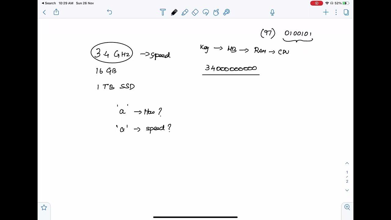 Why Data Structures and Algorithms is Important for Every Software Developer - YouTube