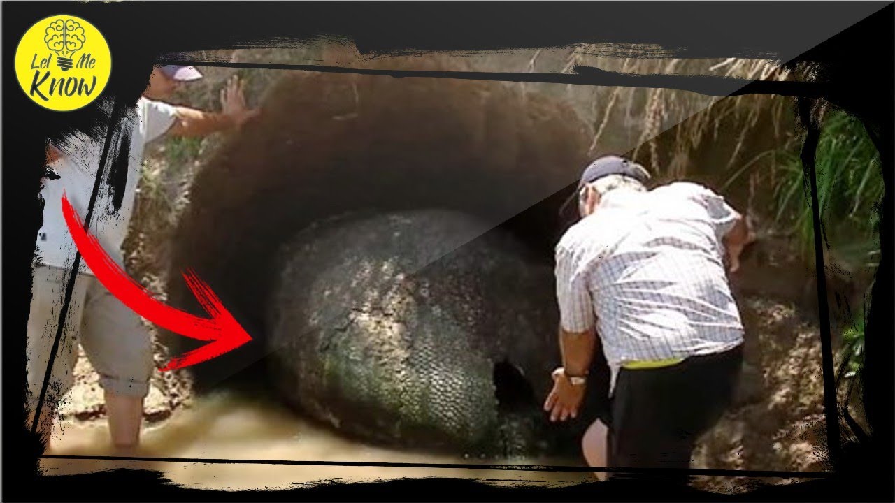 Farmer Uncovers Strange Rock Formation That Scientists Are Struggling ...