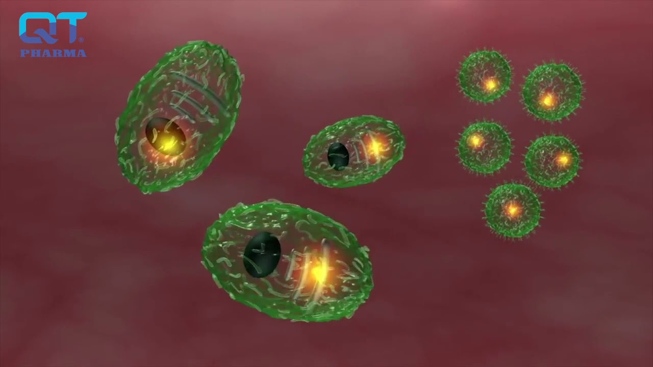 Cùng tìm hiểu về cuộc chiến giữa hệ miễn dịch và virus Covid 19 - YouTube