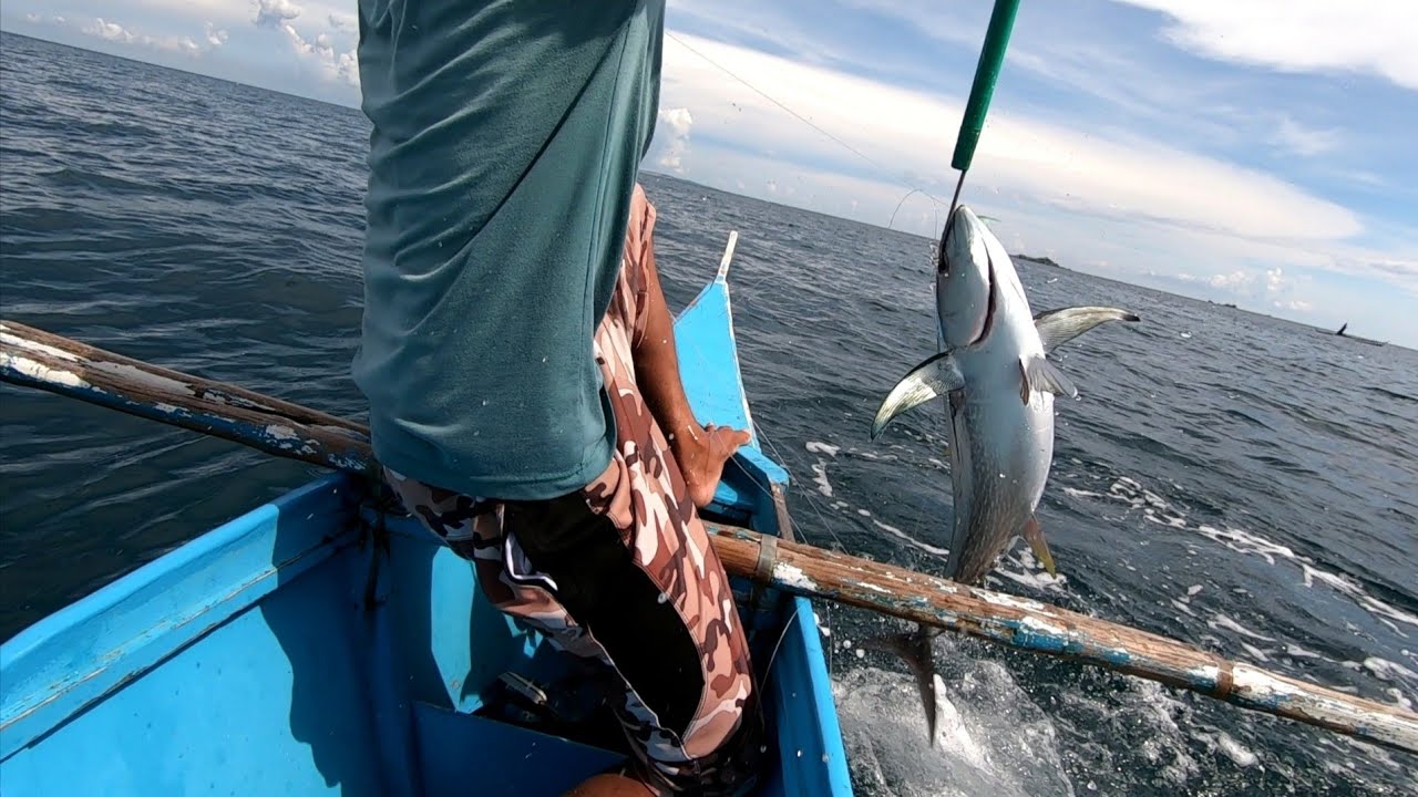 Blue Fin Tuna or "Tambakol" Frenzy | Karerahan sa Paghuli ng Tambakol ...