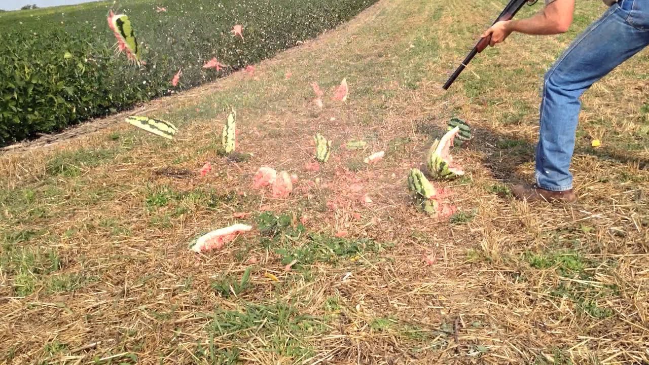 point blank watermelon shotgun - YouTube