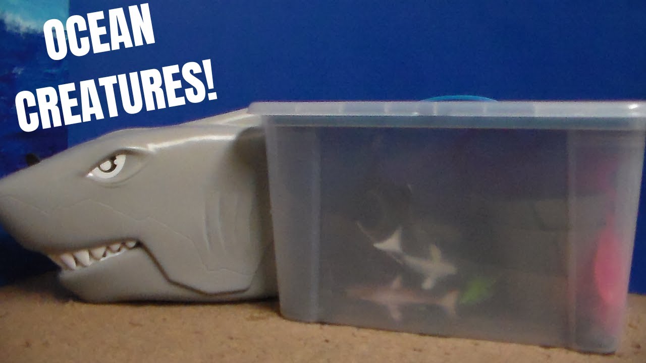MEGA Ocean Toy Tub SHARK BUCKET TOY REVIEW! Whales Sharks Fish Orca Hammer Head Shark - YouTube