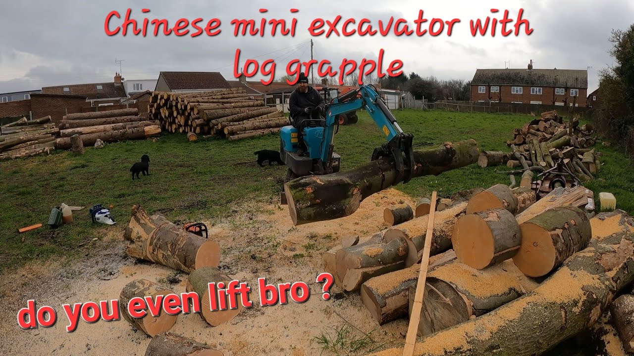 Chinese mini digger lifting logs or can it ? Can you even lift bro ...