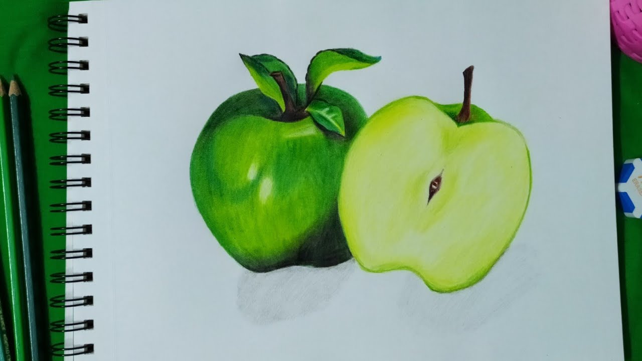 Green Apple Pencil Drawing
