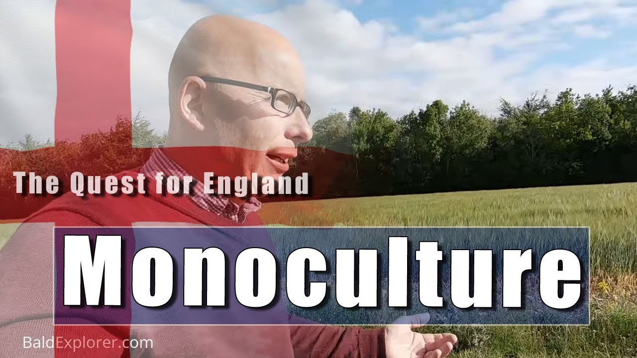 The Quest For England - The Theft of Graffham Down - YouTube