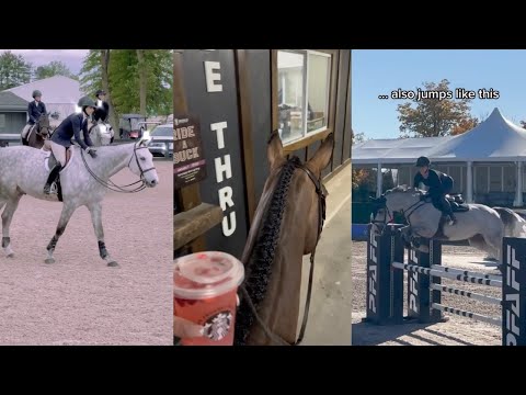 Hunter Jumper TikTok Compilation