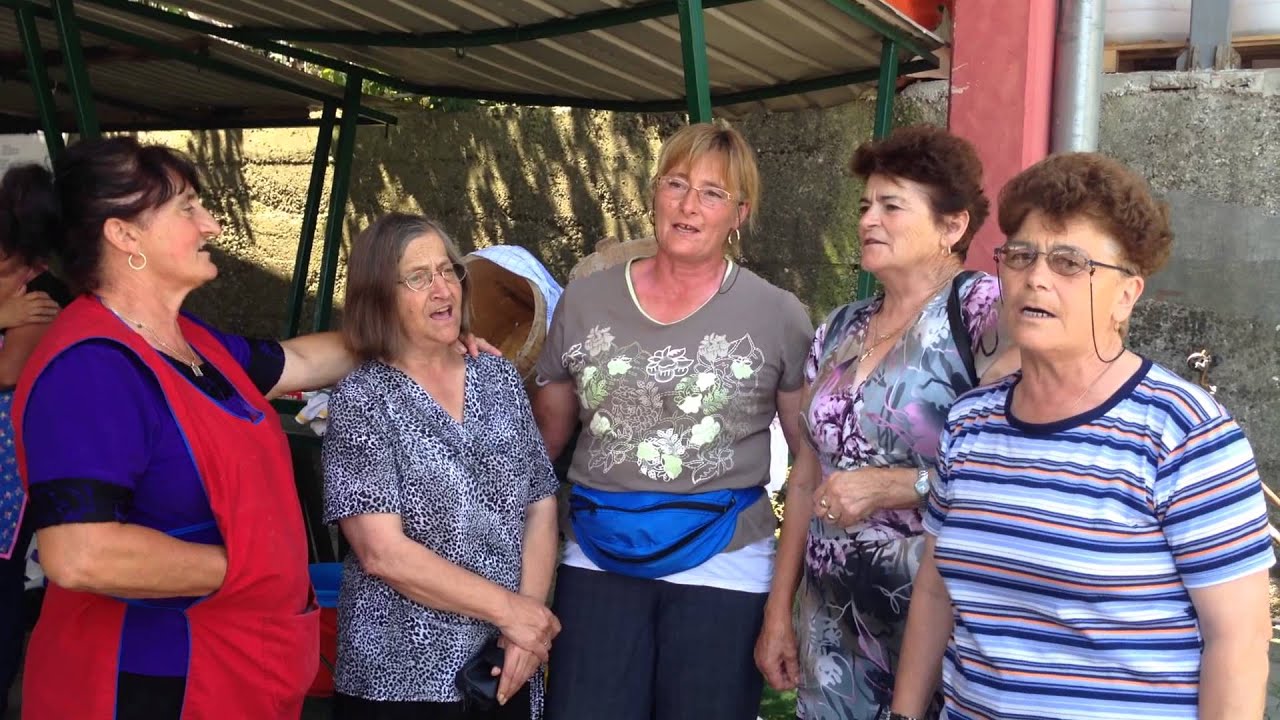 Pevacice KUD Moravica Folk - Ivanjica Pijaca Leto 2015 - YouTube