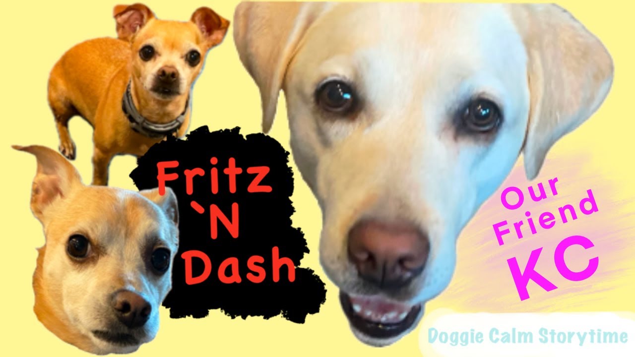 Our Friend KC. Non-Narr., CUTE dogs Fritz N Dash Storytime channel ...
