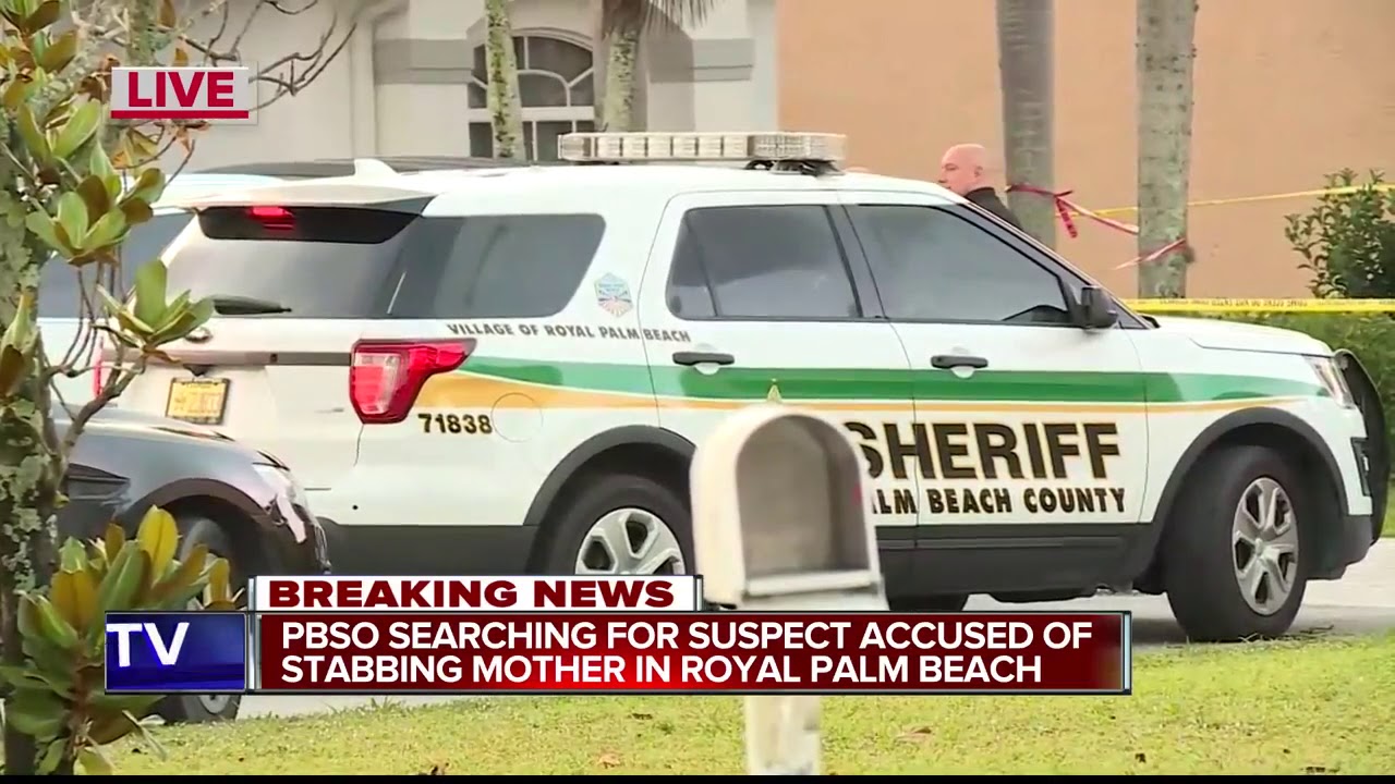 Manhunt In Royal Palm Beach For Adult Son Who Stabbed Mother YouTube manhunt-in-royal-palm-beach-for-adult-son-who-stabbed-mother-youtube