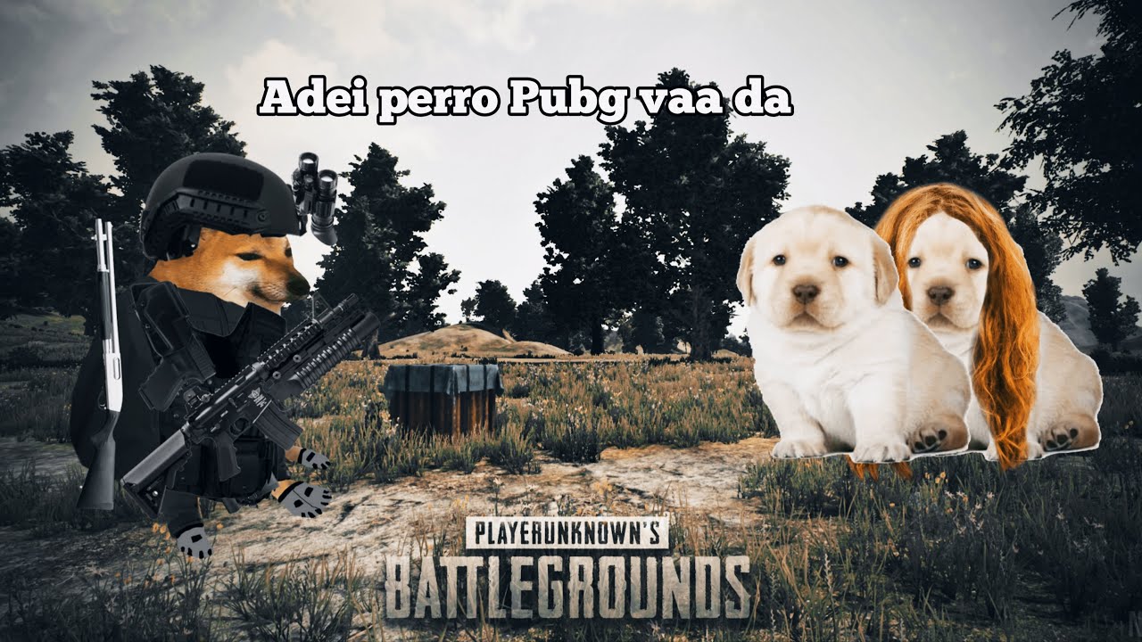 pubg with friend | cheems | perro - YouTube