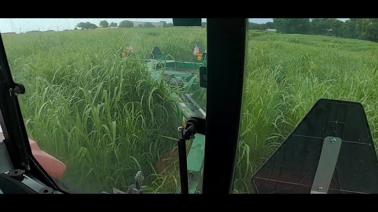 Mowing Big Johnson Grass, Watch Out for Obstacles! - YouTube