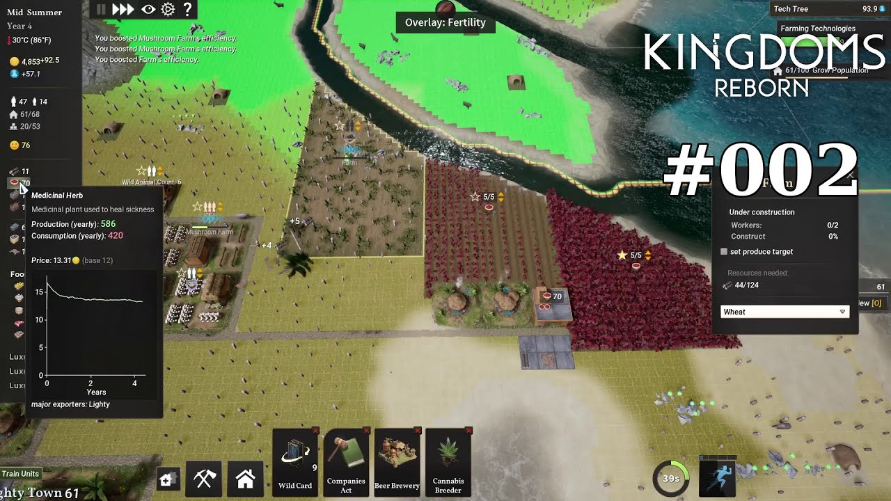 Mehr Medizin! - Let's Play Kingdoms Reborn #002 - YouTube