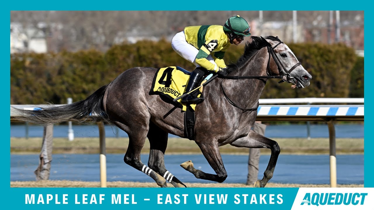 Maple Leaf Mel - 2023 - The East View - YouTube