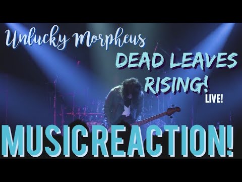 THAT HAS TO BE THE BEST SOLO INTRO!!🔥 Unlucky Morpheus - Dead Leaves ...