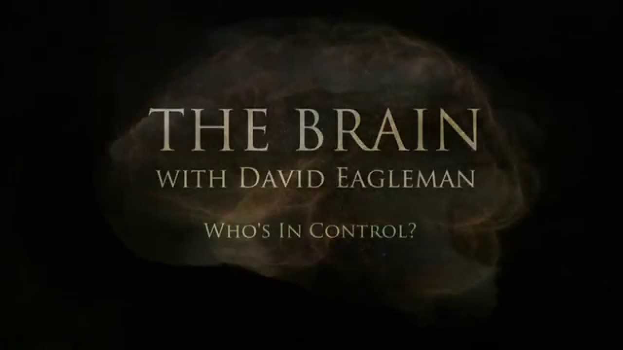 The Brain with David Eagleman: Who Is In Control? - YouTube