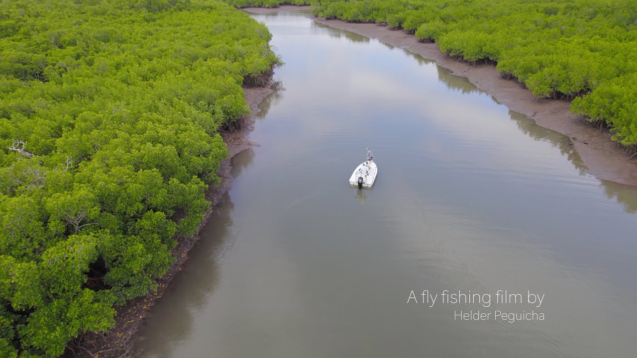Fly Fishing Hinchinbrook Island - Australia - YouTube