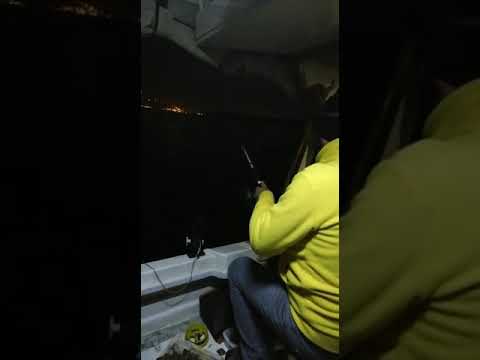 Gece Avı  izmir cupra ve lüfer avı Hakkı kagtan