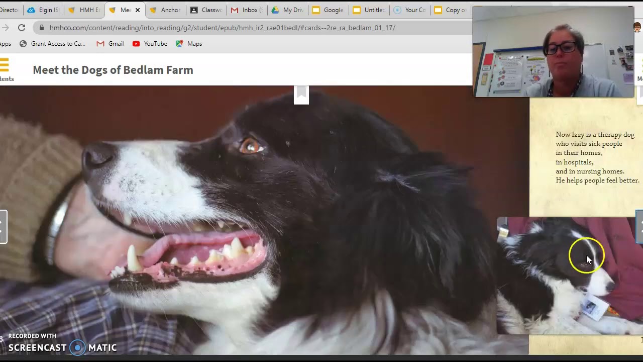 Meet the Dogs of Bedlam Farm read aoud - YouTube