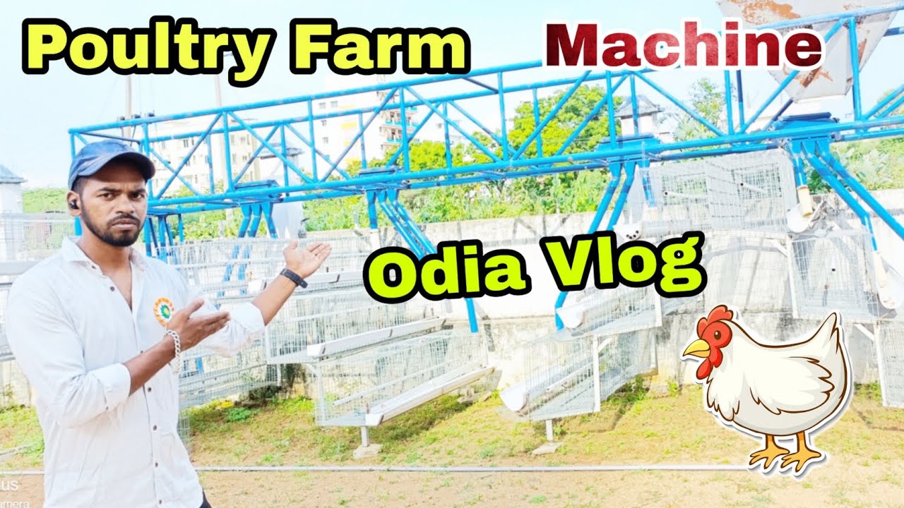 Poultry Farm Machine || India Hyderabad || India go raj - YouTube