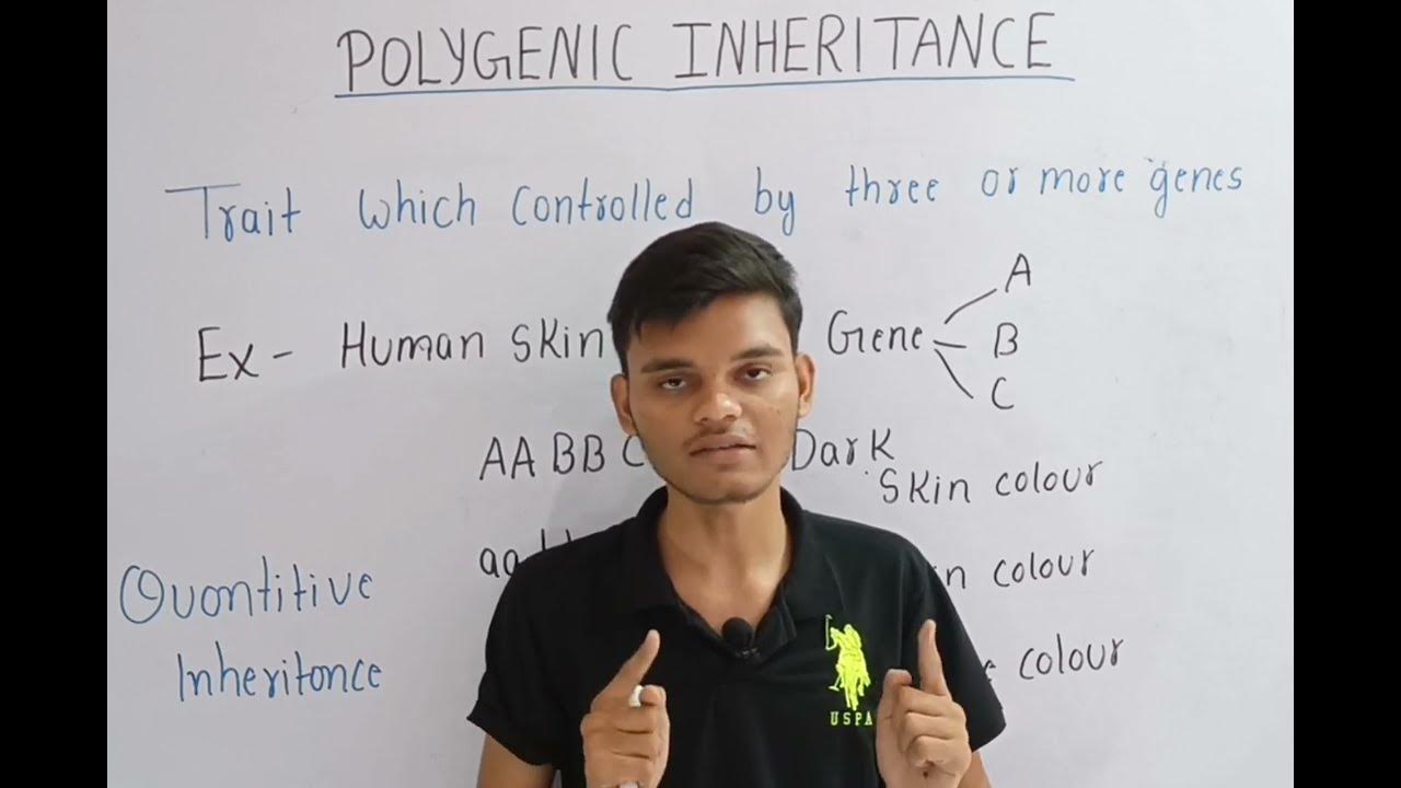 Polygenic Inheritance | Class 12 - YouTube