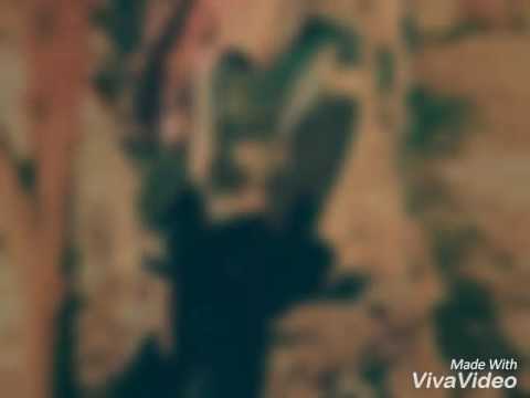 Ah Ulan Sen Aşkı Tanımamışsın