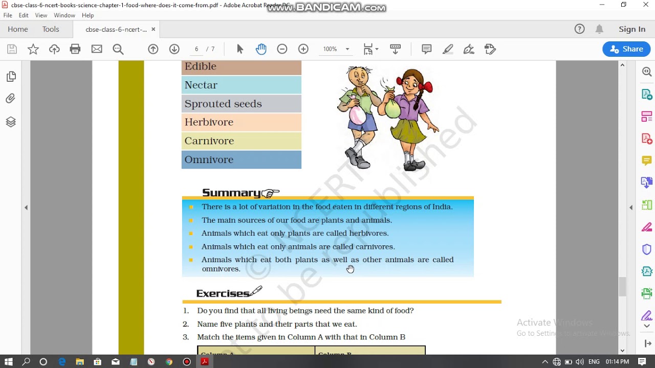 Class 6 Science Chapter 1 NCERT YouTube class-6-science-chapter-1-ncert-youtube