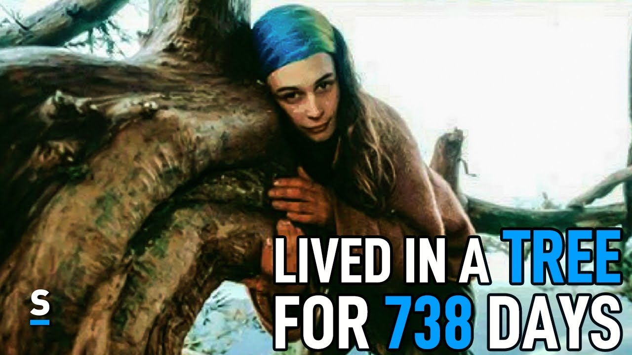 Julia Butterfly Hill Story || Lived 738 Days in a Tree - Savvies - YouTube