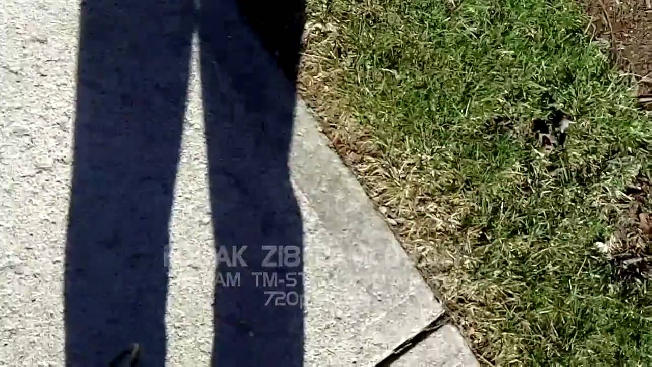 TASCAM TM-ST1 Stereo Condenser Mic and Kodak Zi8 - YouTube