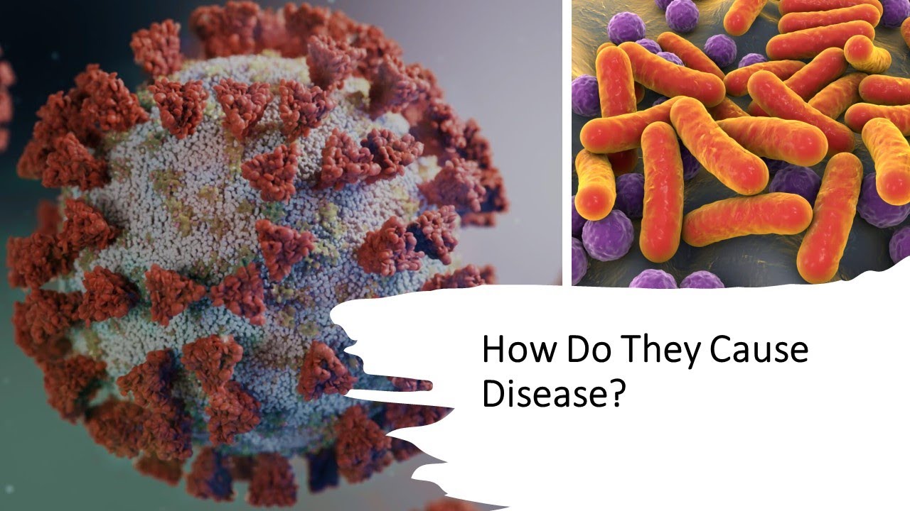 Pathogens: Invading Biological Agents that Cause Disease - YouTube
