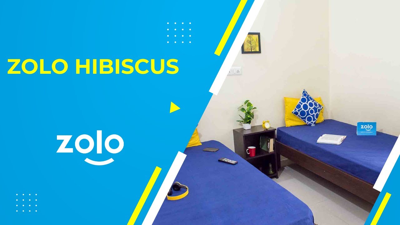 Zolo Hibiscus | PG in BTM Layout | Zolo Co-living - YouTube