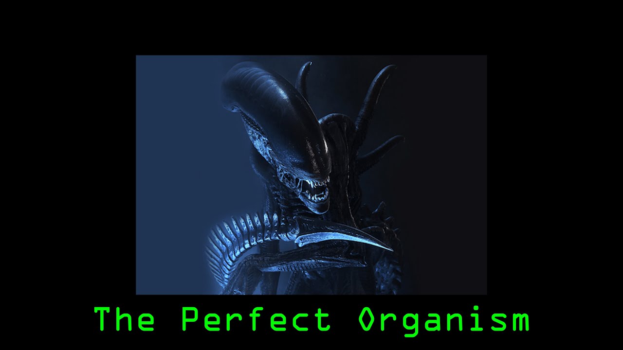 🎨DRAWING LESSON ON XENOMORPH [ALIEN ROMULUS] - YouTube