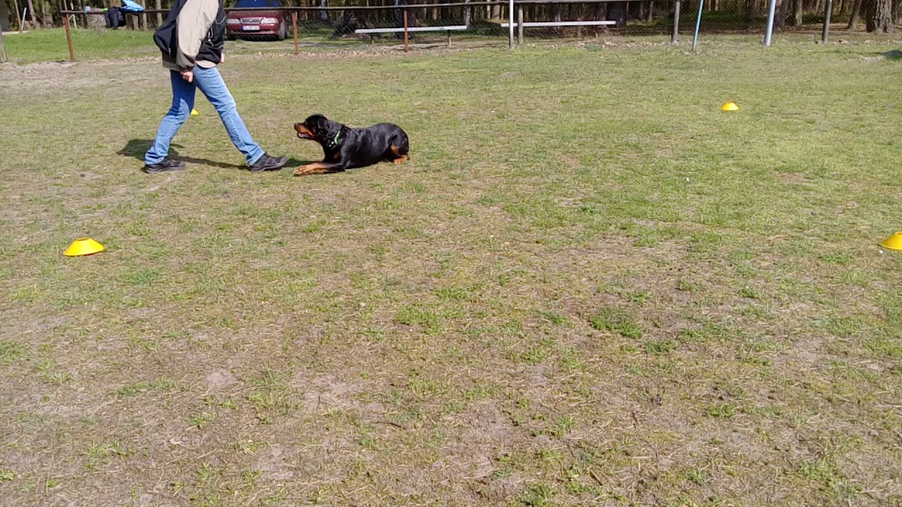 Kl 2, week 1, Posi. aus Bew. - YouTube