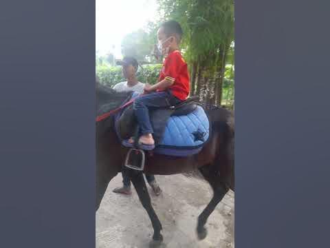 kuda laka loli - YouTube