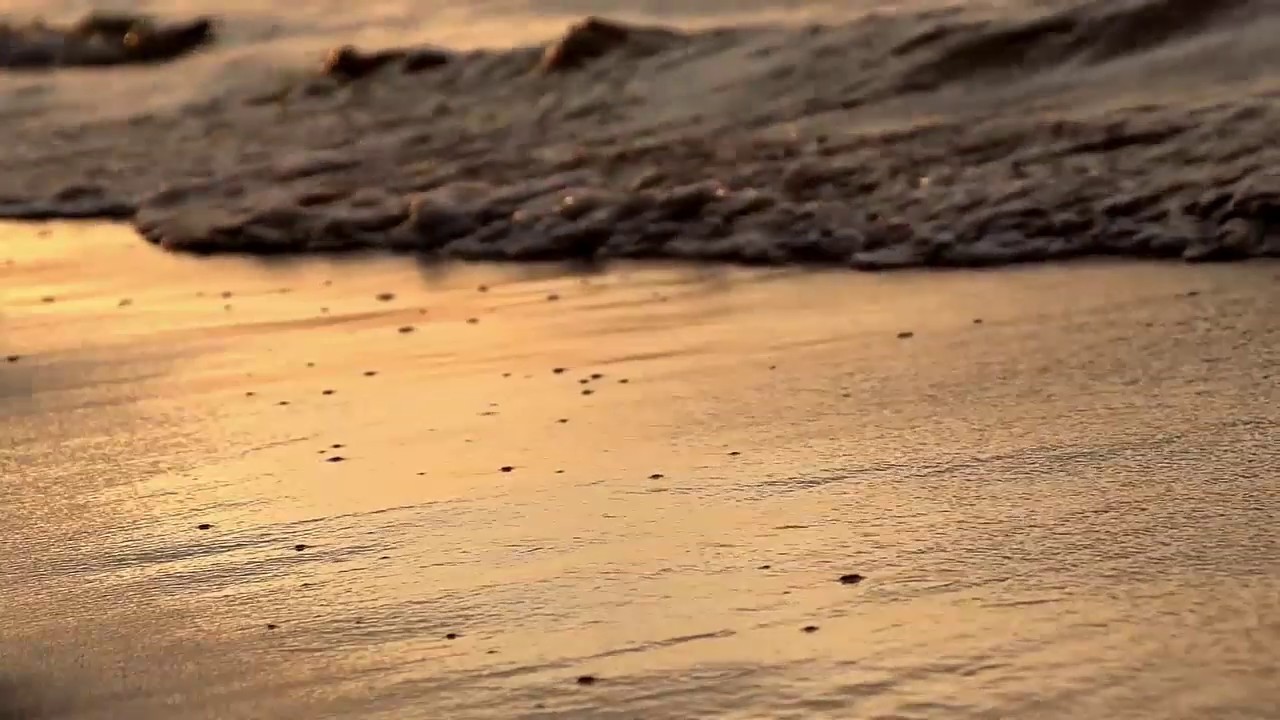 Spring Equinox song, written and preformed by Emer Cloherty - YouTube