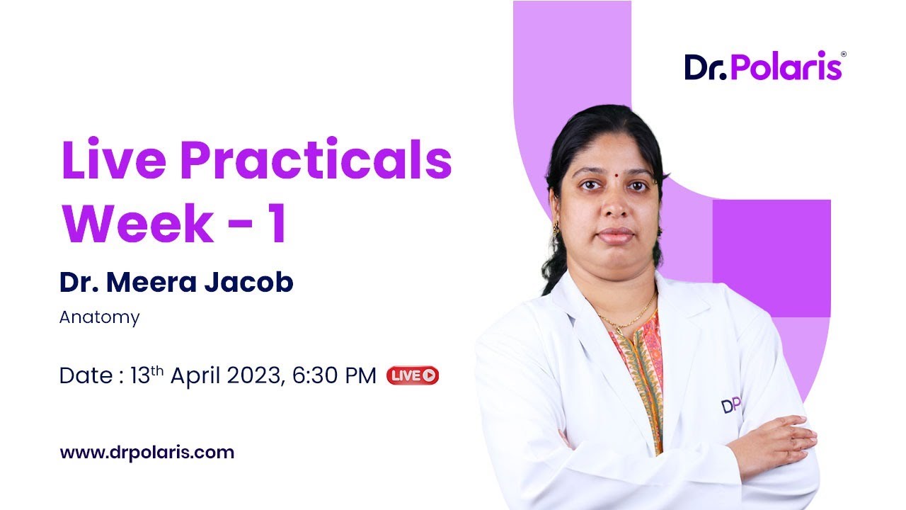 Dissection Series: Abdomen | Study-a-thon Week 1 | Anatomy Practicals ...