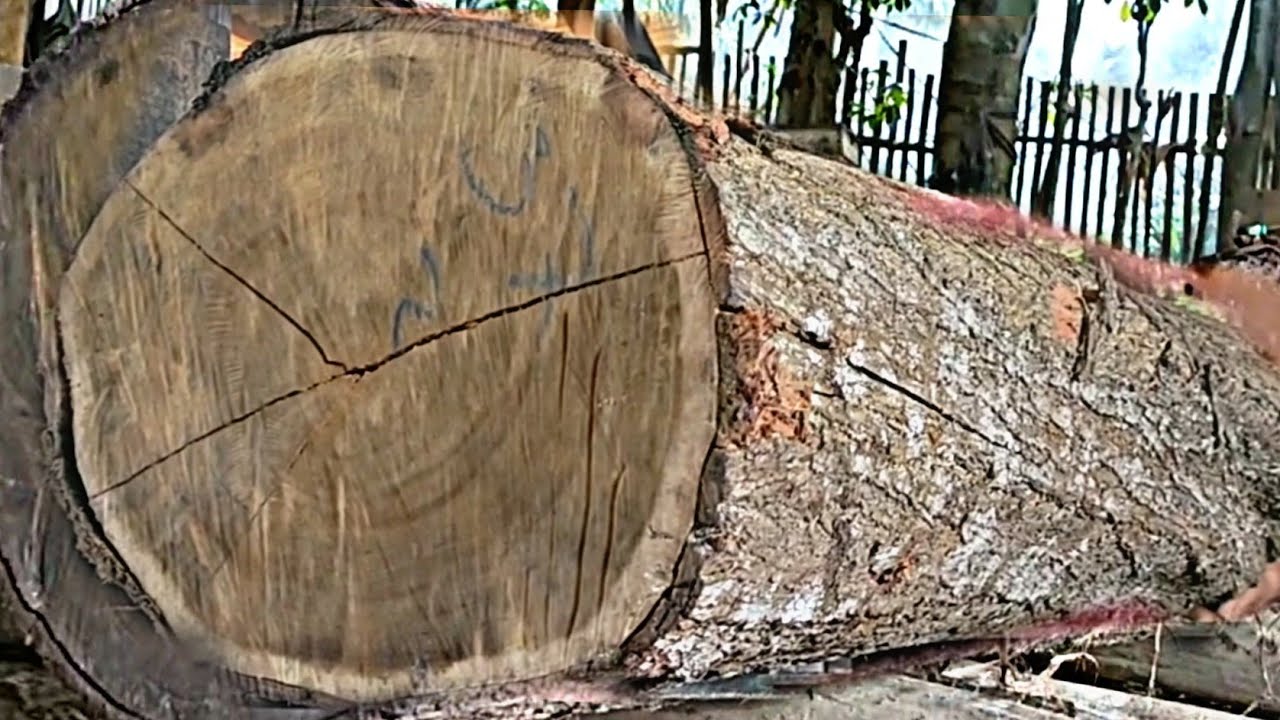 terrible wood cutting - YouTube