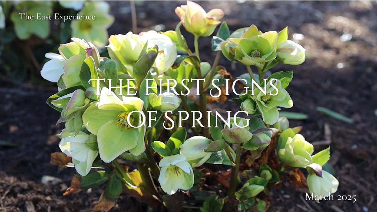 The First Signs of Spring by @theeastexp - YouTube