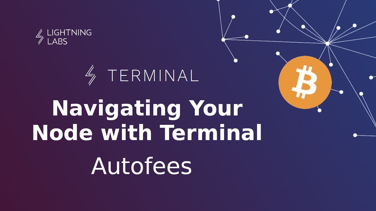 Navigating Your Node with Terminal #4: Autofees - YouTube