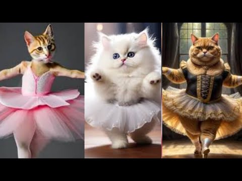 cute little kittens dancing 💃sweet dreams - YouTube