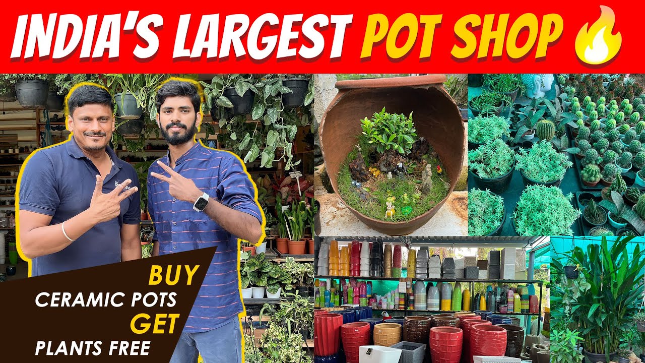 India's Largest Pot Shop In Chennai | Sanjaysamy | Vlog #99 - YouTube