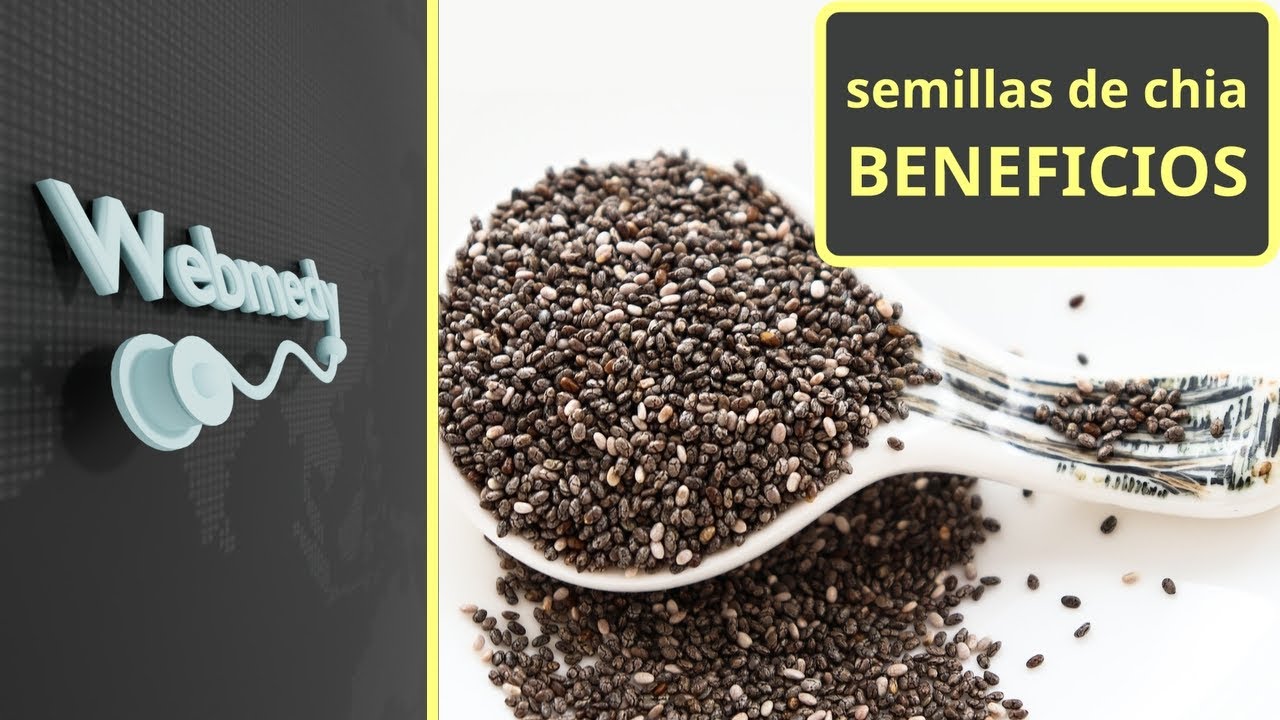 Los 7 Principales Beneficios Para La Salud De Las Semillas De Chía