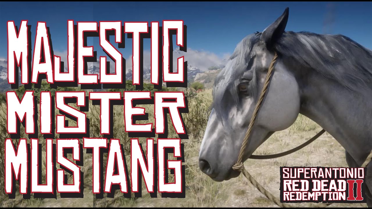 Collecting All of The Mustang Horses and the Premium Card, in Red Dead ...