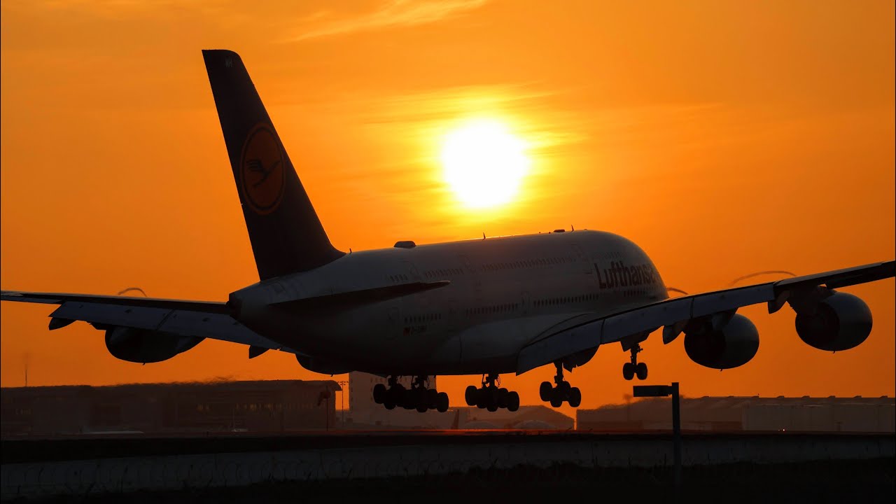 50 Minutes of Stunning 2024 Highlights Part 3 | Yearly Highlights #6 ...