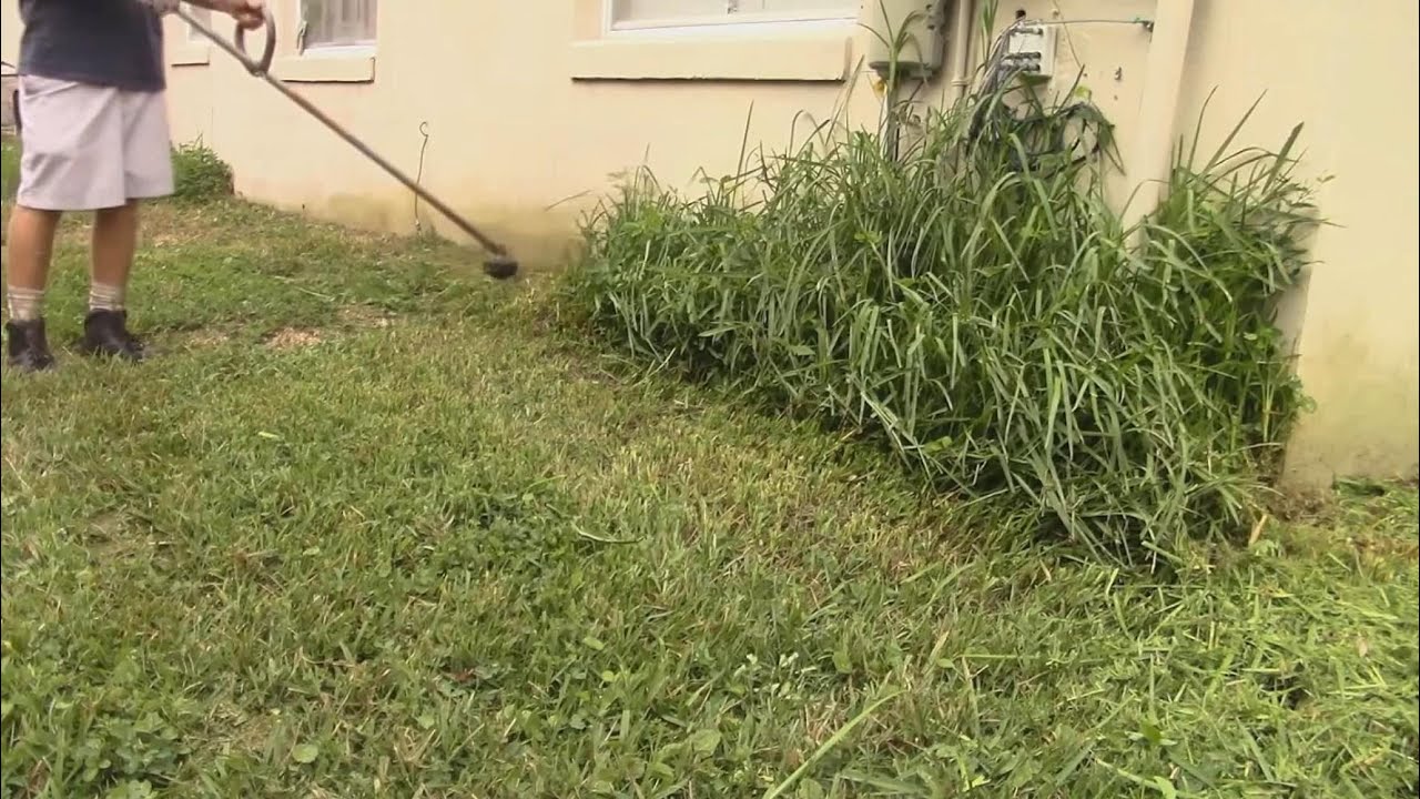 Super Timelapse Weed Whacking with correct sound - YouTube