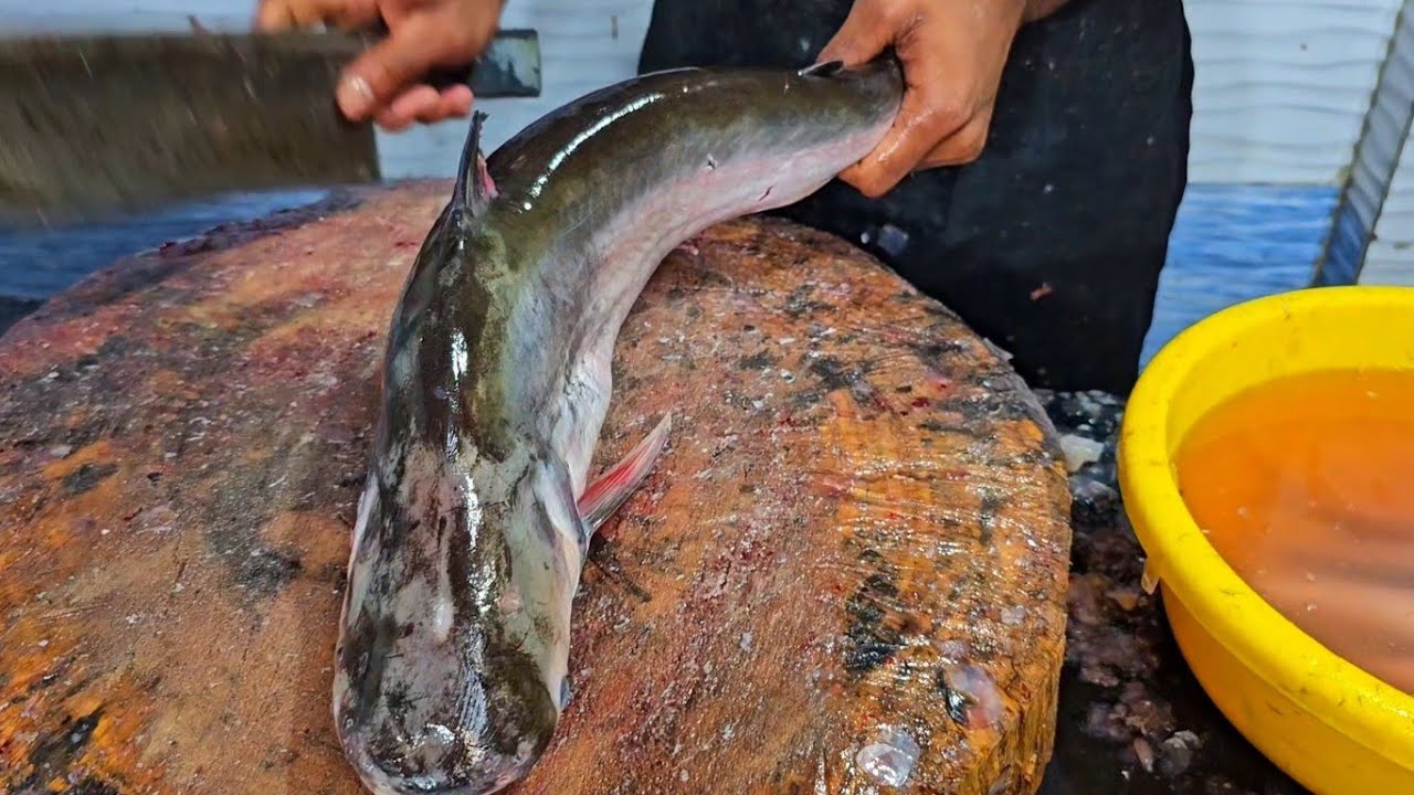 Amazing cutting bonless fish!! sagar fish hoodi Bangalore!! sagar fish ...