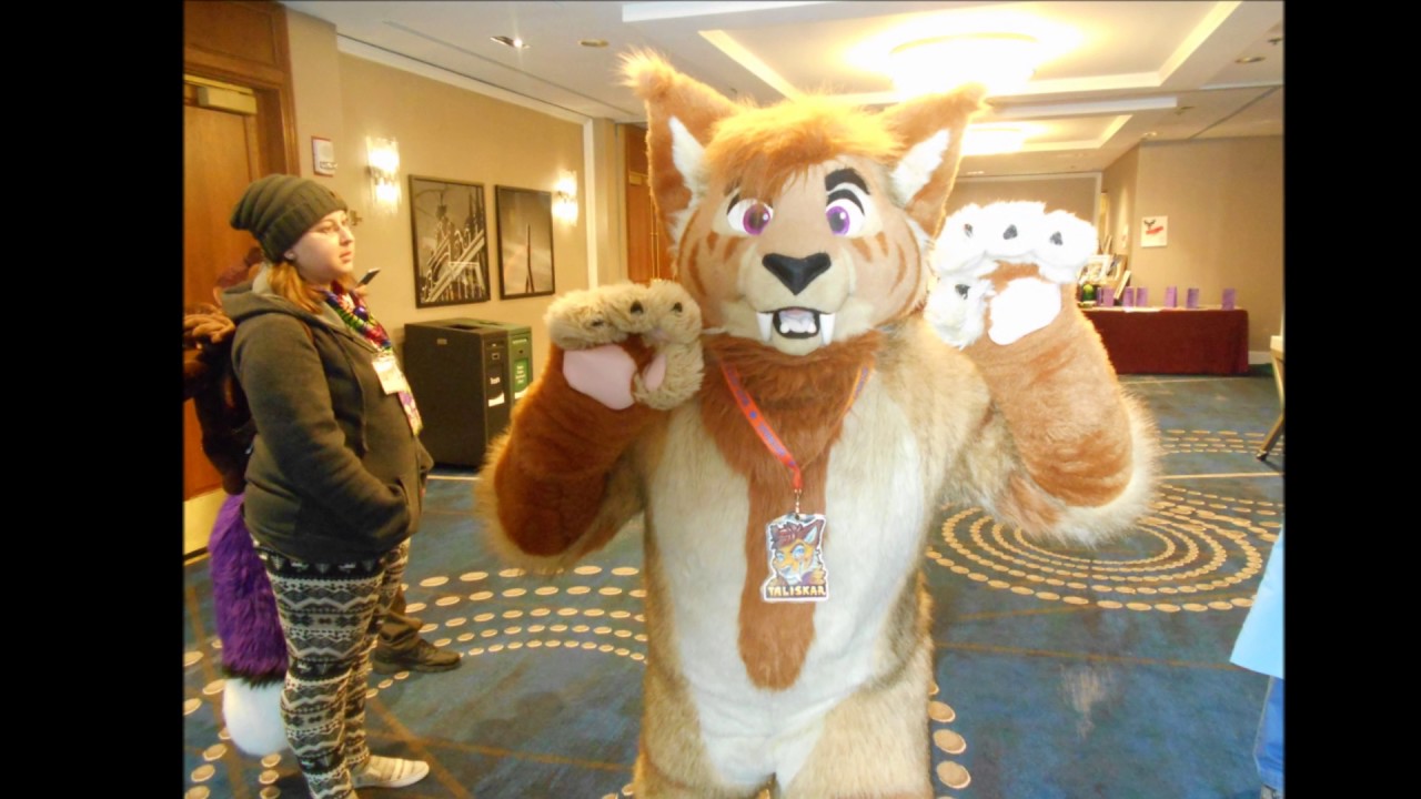 ANE 2017 Photo Gallery - YouTube