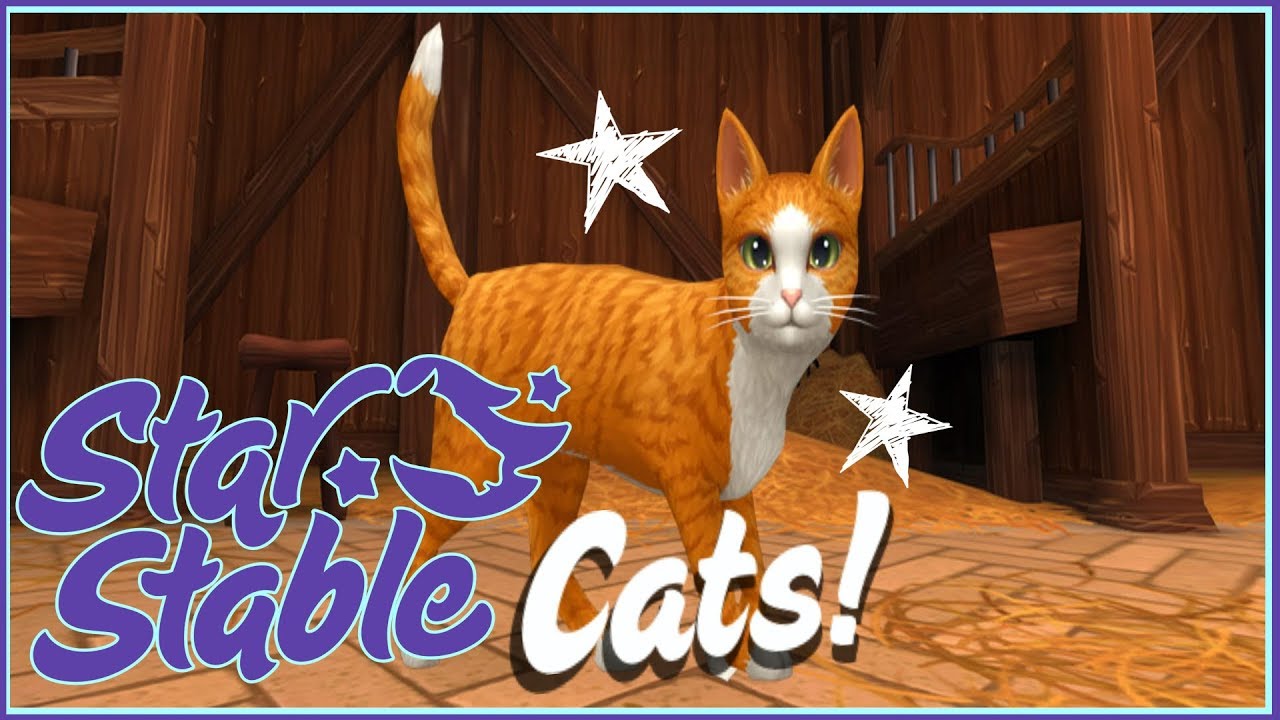⭐️Star Stable| CATS!! ⭐️ - YouTube