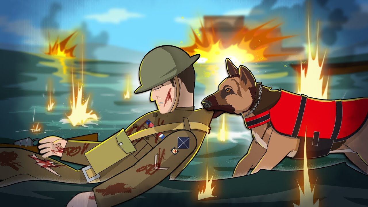 Dogs of War - The Hero Canines of WW2 - YouTube