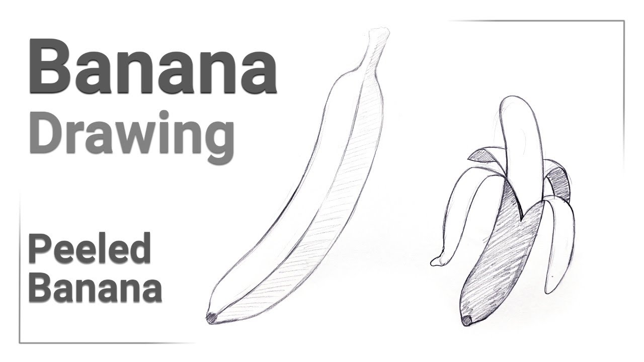 How to Draw a Banana Step by Step | Drawing a Peeled Banana | Drawing ...