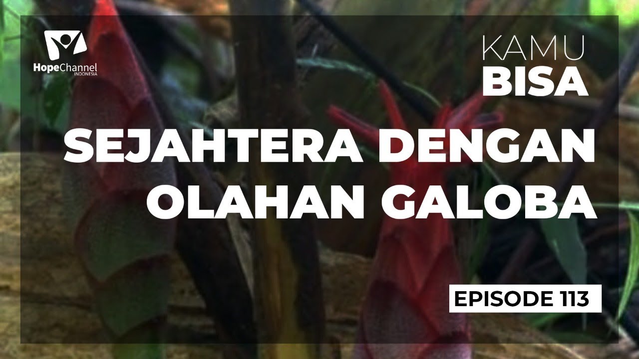 OLAHAN GALOBA BIASANYA DIBUAT UNTUK APA SAJA?? - YouTube